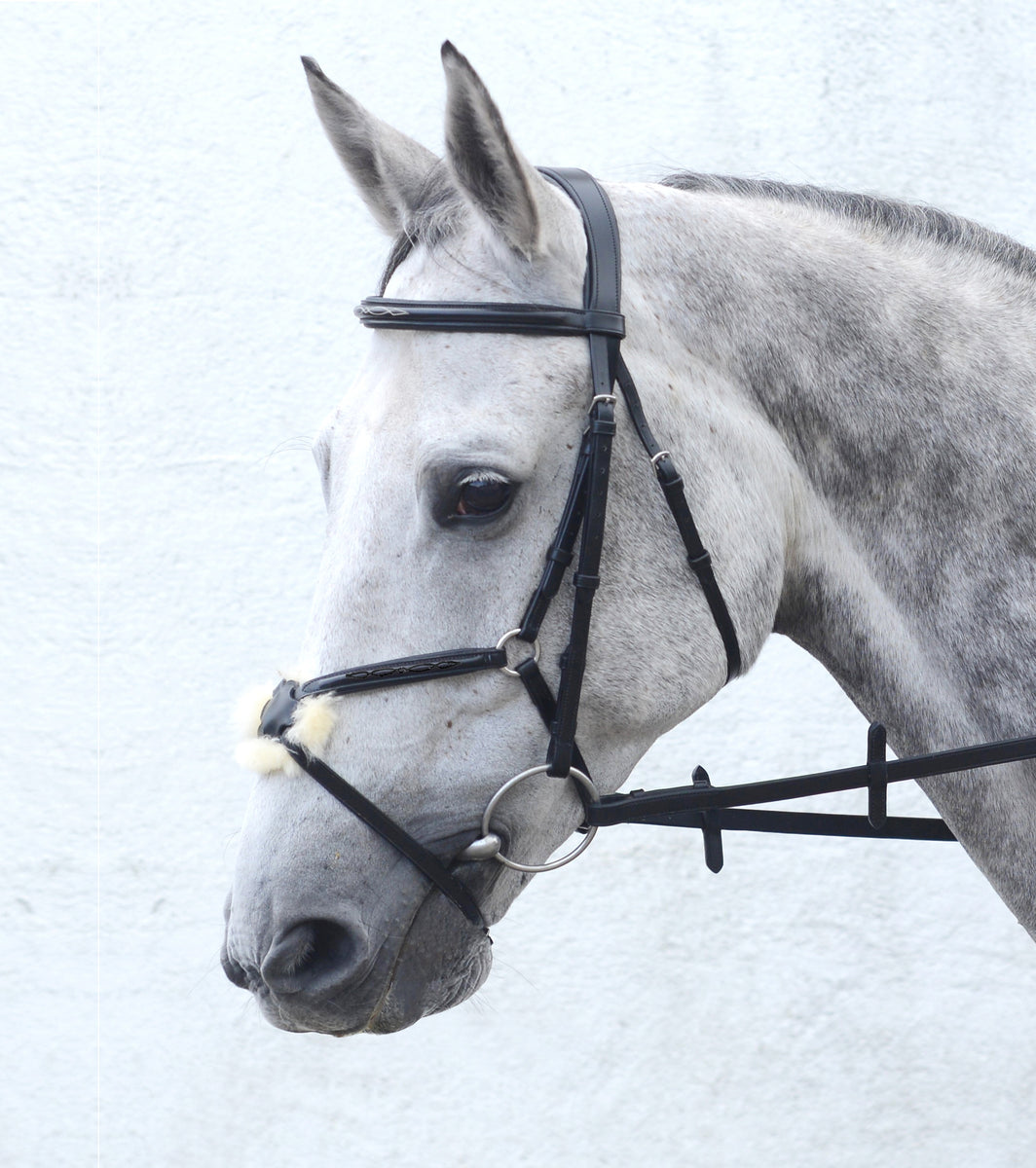 Mackey Legends Grackle Bridle – Bits and Bridles
